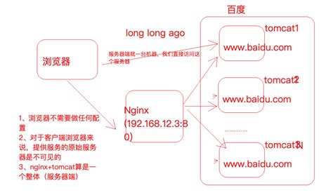 正向代理和反向代理的作用 你腿别抖了 博客园