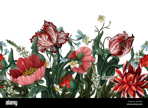 Tulip Flower Border Stock Vector Images Alamy