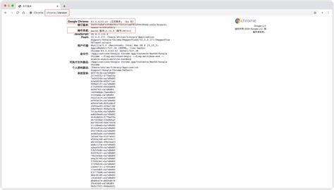 selenium and chromedriver 全平台安装教程（mac、windows、linux） sitoi