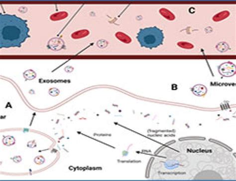 single cell rna sequencing analysis a step by step overview rna seq blog
