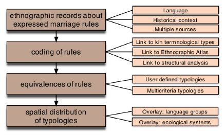The General Work Plan For Designing The Marriage Database And Its Download Scientific Diagram