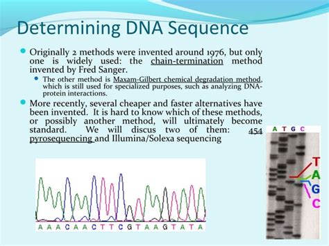 Dna Sequencing Methods Ppt