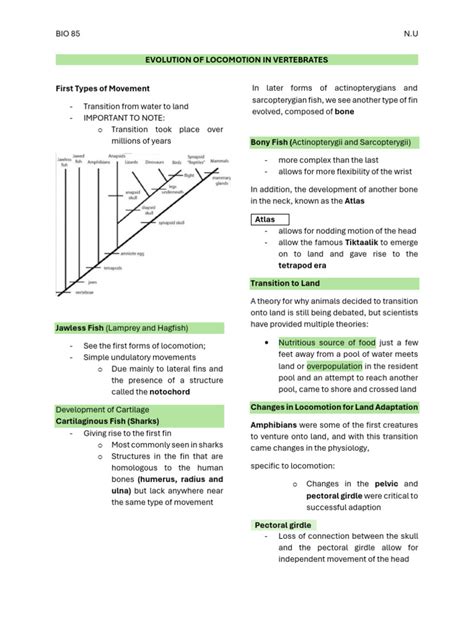 Evolution Of Locomotion In Vertebrates Pdf Pelvis Vertebral Column