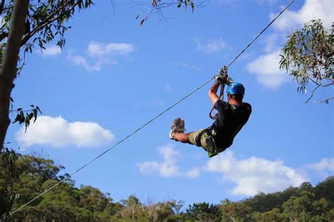 Tree Top Challenge Mt Tamborine Ropes Course Gold Coast