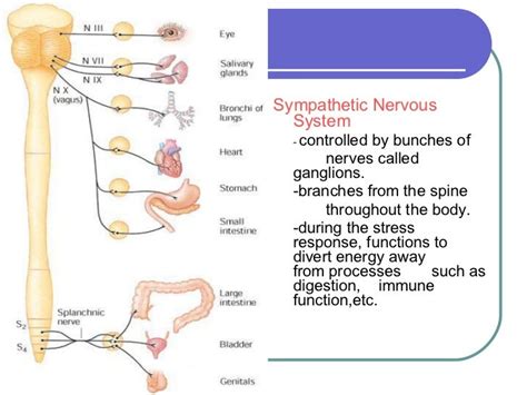Endocrine Response