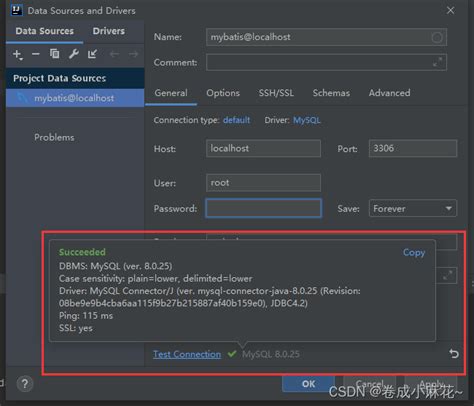 Idea连接mysql数据库教程 Csdn博客