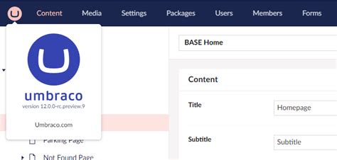 An Early Look At Umbraco 12 Content Delivery Api Codebuntes Blog