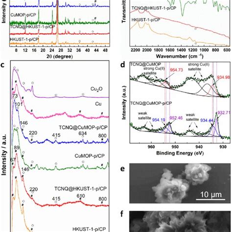 Spectroscopic And Morphological Characterization Of The Evolution Of Download Scientific