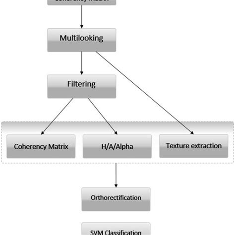 Data Processing Procedure Download Scientific Diagram