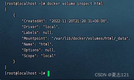 Docker镜像操作容器操作数据卷及挂载数据卷 阿里云开发者社区
