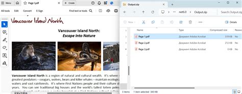 divide by pages pdf files in c and
