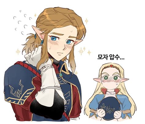 Link And Princess Zelda The Legend Of Zelda And 1 More Drawn By Zeldm