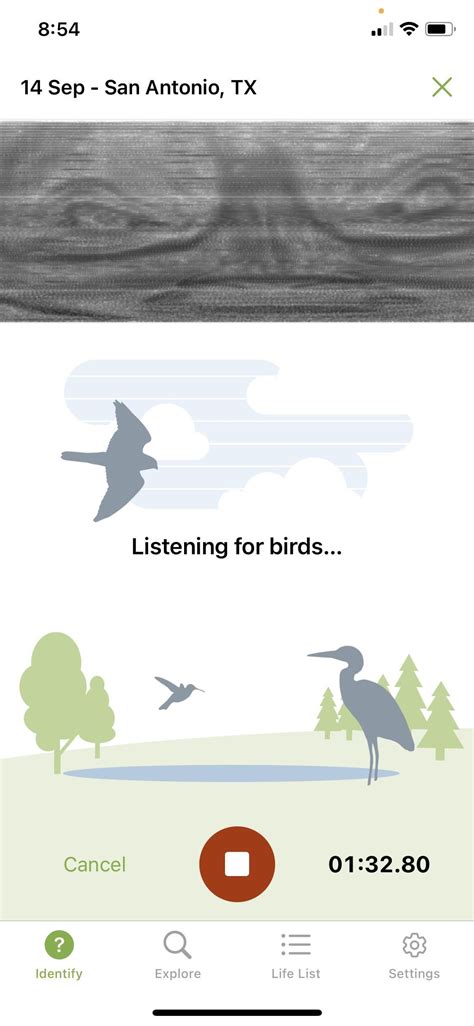 Using My Bird App Spectrogram To See Aphex Pictures Raphextwin