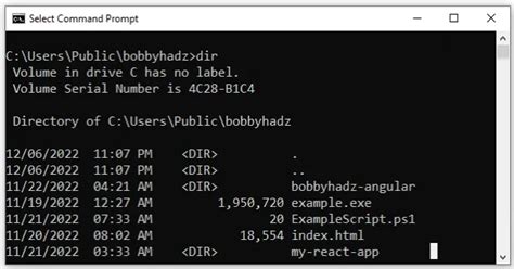 windows equivalent of the ls which and ln commands bobbyhadz
