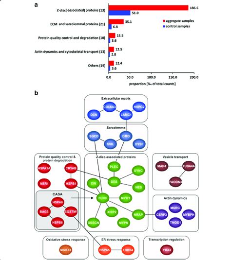 Functional Classification And Interactions Of Proteins Identified As