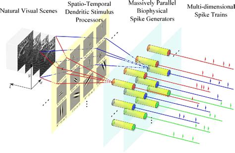 Figure 2 From Reconstructing Natural Visual Scenes From Spike Times