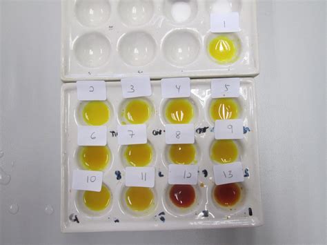 Biochemistry Experiment 1 Acid Base Experiment