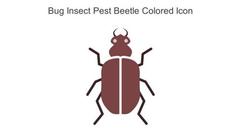 Insect Pest PowerPoint Presentation And Slides PPT Template SlideTeam
