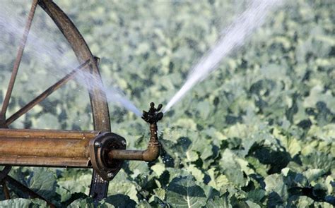 5 Types Of Irrigation Systems Drip Irrigation System 456mm Fixed