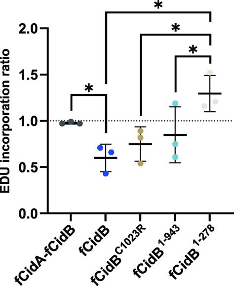Cidb Can Perturb S Phase Progression Without A Catalytically Active Dub