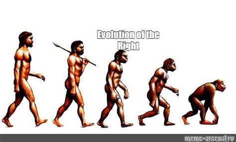 Сomics Meme Evolution Of The Right Comics Meme