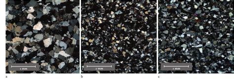 Micrographs Of The Three Main Identified Lithotypes