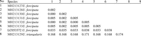 Pair Wise Nucleotide Divergence Of The Mitochondrial Coi Sequences Download Table