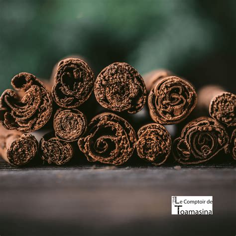 Bâton De Cannelle De Ceylan C Alba Cannelle Zylanicum Verum Prix