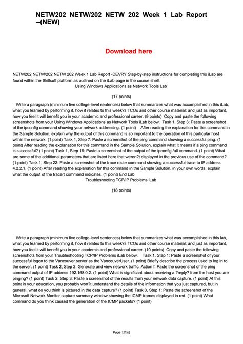 Netw Netw Netw Week Lab Report New By Martinalluni Issuu