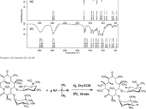 Figure 1 From Rp Hplc Pre Column Derivatization For Analysis Of Omeprazole Tinidazole