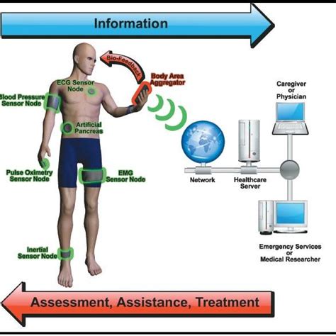 body area sensor network download scientific diagram