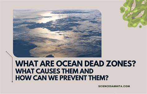 Ocean Dead Zones Science Samhita
