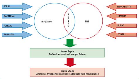 Journal Of Paramedic Practice Adult Sepsis In A Pre Hospital Environment