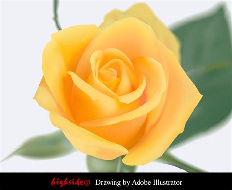 Растровая и векторная графика это как — Журнал «Код