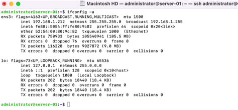 How To Configure Static Ip Address On Ubuntu Server 2204 Devtutorial