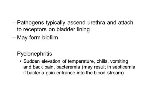 Diseases Of The Urinary And Reproductive Systems Ppt Video Online Download