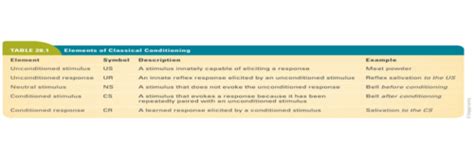 Chapter Five Flashcards Quizlet