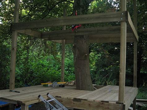 Tree House Day Adding Second Floor Frame