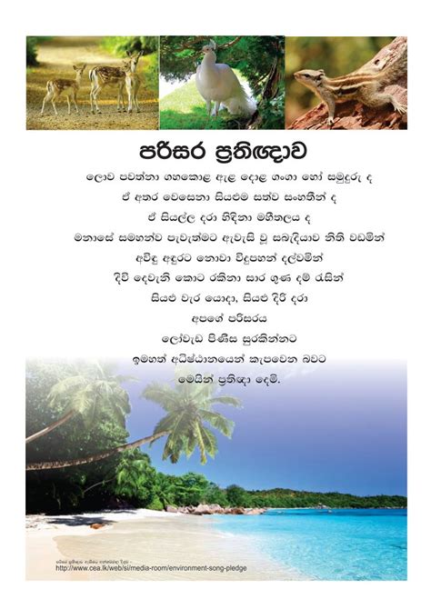 පරිසර මාසයේ වැදගත් තොරතුරු කිහිපයක් රන්කැකුලු සමාගම