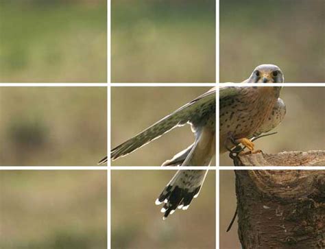 understanding the rule of thirds in web design codrops