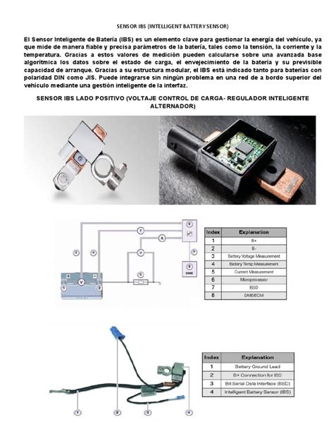 Sensor Ibs Intelligent Battery Sensor Pdf