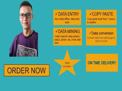 Data Entry Data Mining Copy Paste Data Conversion Upwork