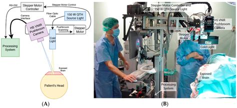 Surgical Lights Hs Code Shelly Lighting