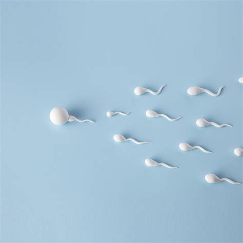 Ways To Boost Male Fertility And Increase Sperm Count