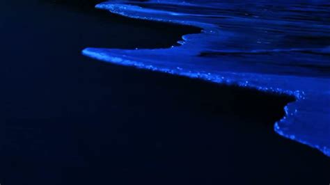 3시간 바다소리 찰랑찰랑 약하게 밀려오는 파도소리공부 집중에 도움되는 자연의 소리 제주도 함덕해수욕장 Youtube