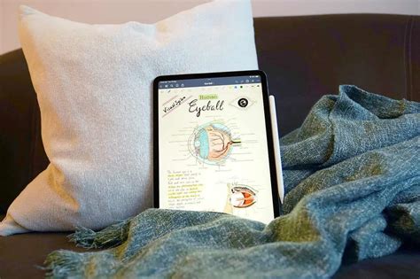 best note taking app for ipad with apple pencil simplymac