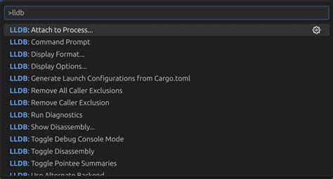 5 Best Vs Code Extensions For Rust Development Sergio Rodrigo Royo Learn How To Code