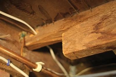 Fix Replace Damaged Floor Joists How To Babe A Joist