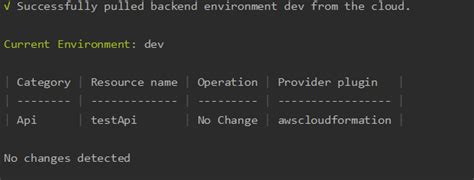 Permission Denied When Sync Data DataStore With AppSync IAM Issue Aws Amplify