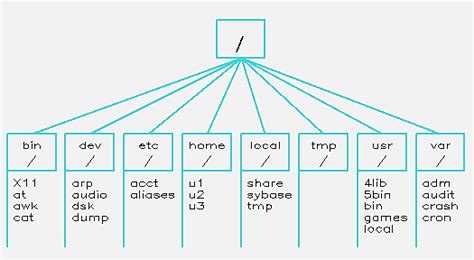 Regular Files Vs Directories How Unix Treats Files